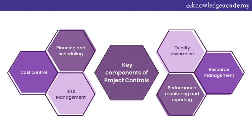 What are Project Controls? A Complete Guide